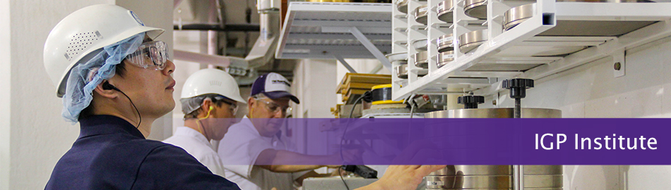 IGP Institute