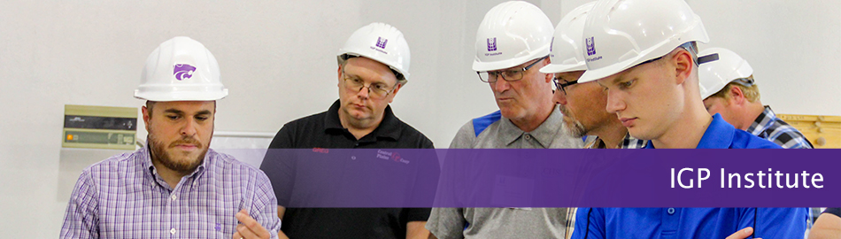 IGP Institute