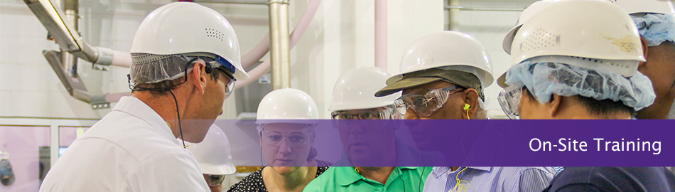 On-Site Training | IGP Institute